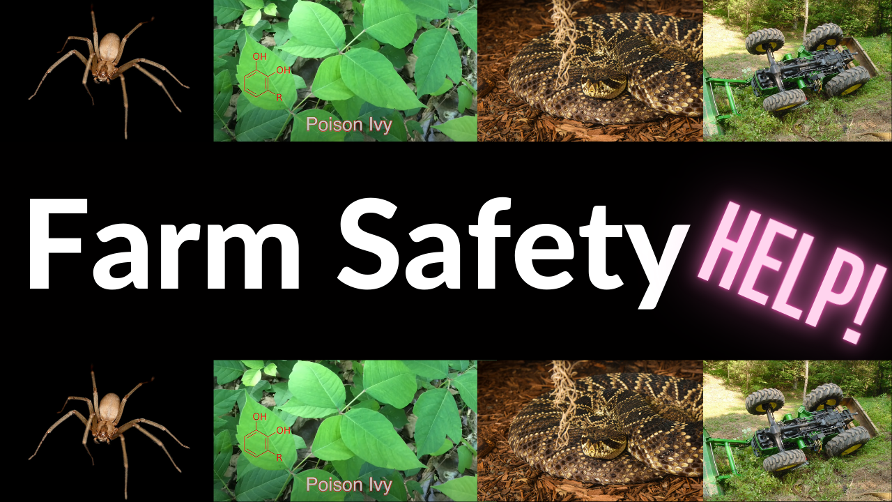 Farm Safety – Ticks, Poison Ivy, Tractor Tip Overs, Snakes, Spiders ...
