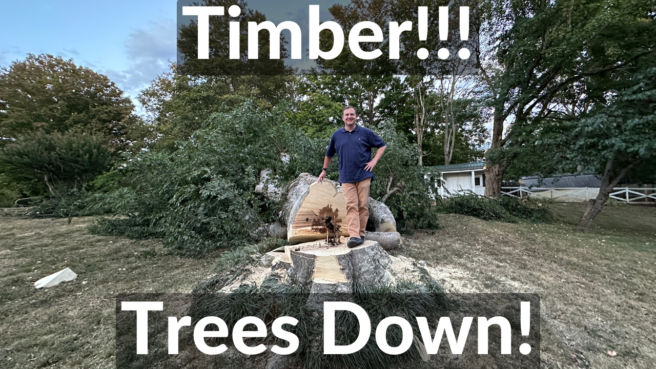 Timber, Trees Down – This Old Dean House – DeanoRolls (@deanoroll5)